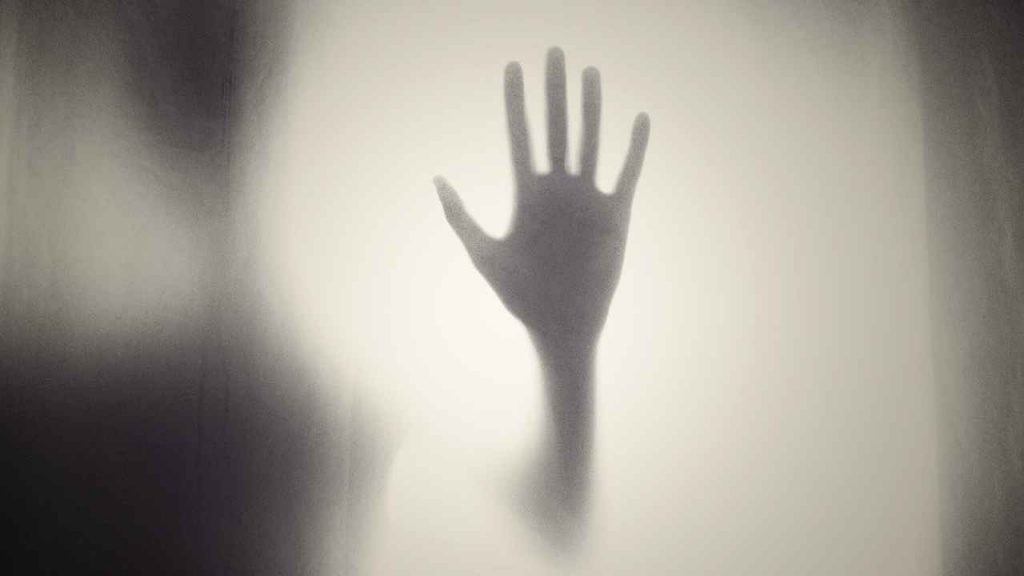 8 Ways to Take Advantage of Your Fears – Members Area – The Mind Miracle